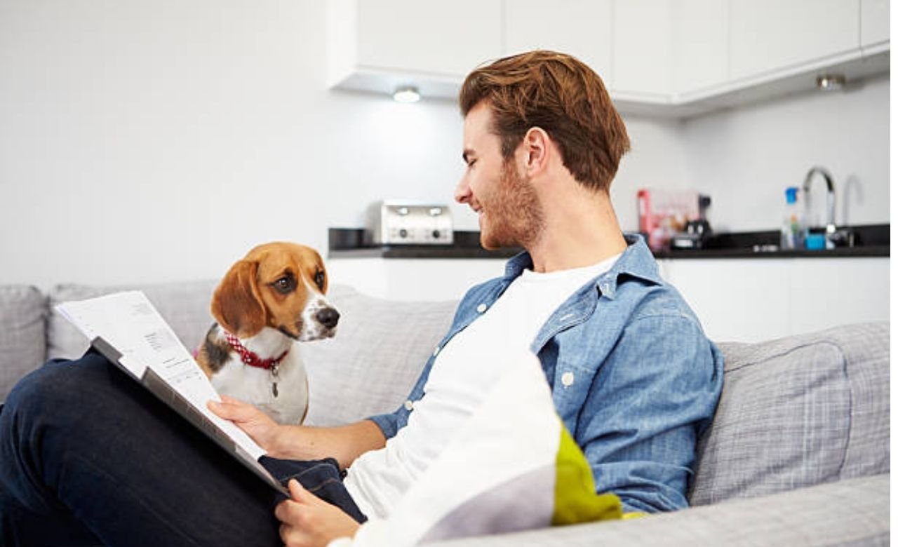 Coop Pet Insurance Reviews(+promotional codes, contact information.)