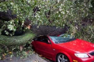 ACT OF GOD INSURANCE: Definition and Detailed Overview