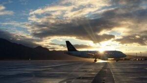 Puffin Travel Insurance: Reviews And All You Need