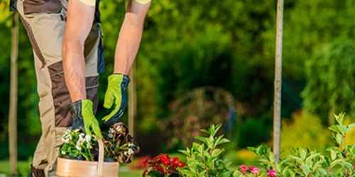GARDENING BUSINESS PLAN: 2025 Templates & Detailed Guide